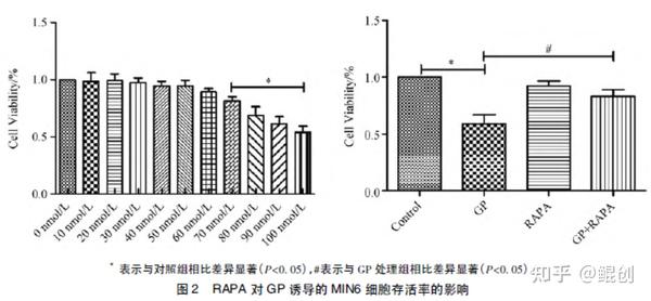 高糖高脂（葡萄糖、棕榈酸钠）诱导小鼠胰岛瘤细胞株MIN6细胞铁死亡以建立体外胰岛β细胞损伤模型 - 知乎
