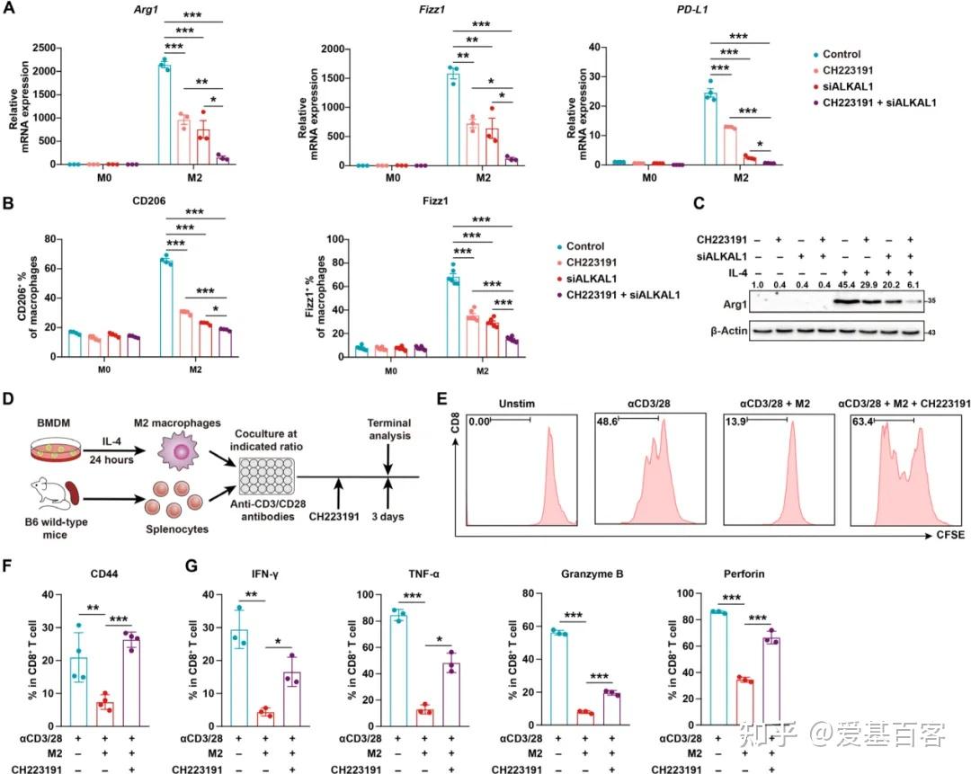 Sci Adv项目文章|ChIP-seq助力解析巨噬细胞关键调节因子AhR在黑色素瘤的进展和免疫治疗的耐药性作用 - 知乎