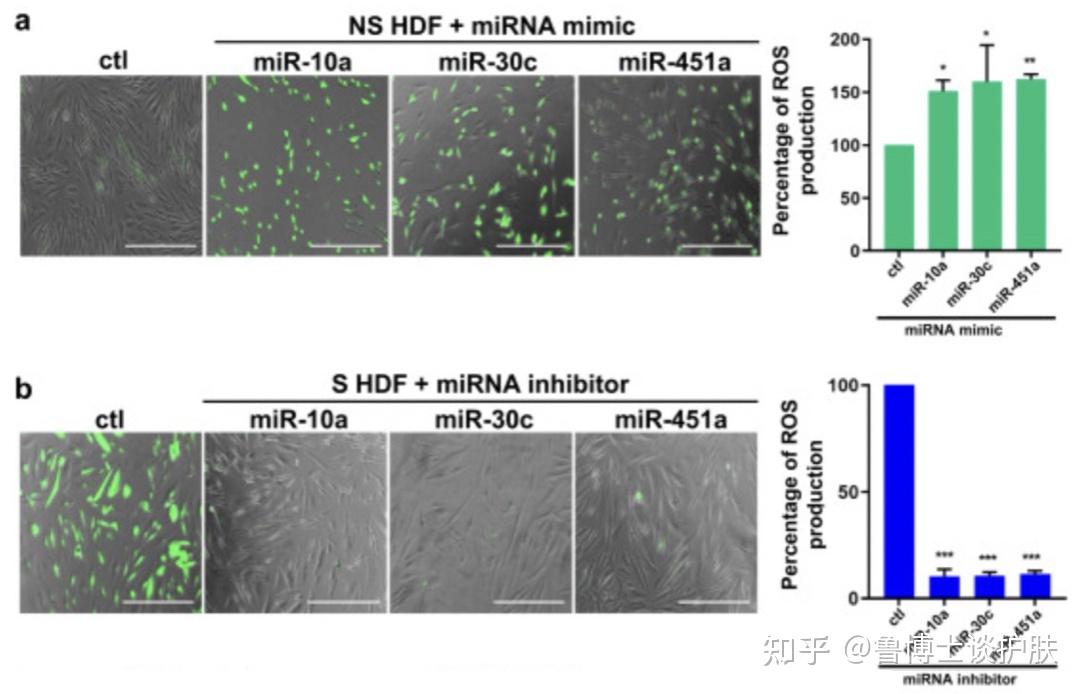 衰老细胞分泌的miRNA：miR-10a、-30c以及-451a可能是促进细胞衰老的新机制 - 知乎