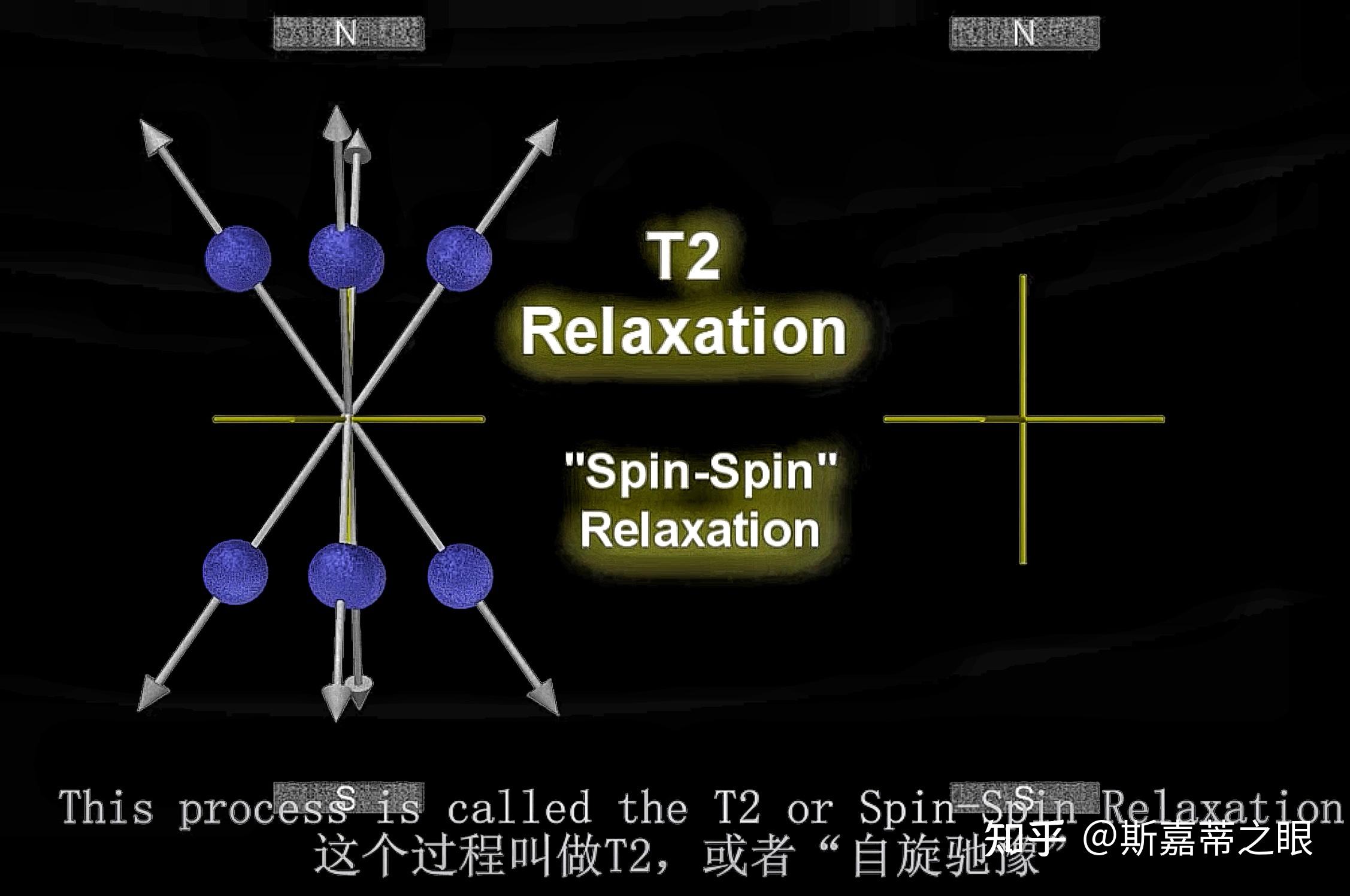 核磁共振工作的简略原理(二) - 知乎