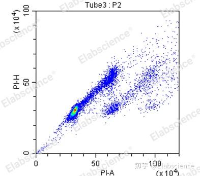 Elabscience_细胞周期检测三大常见问题及解决方案 - 知乎