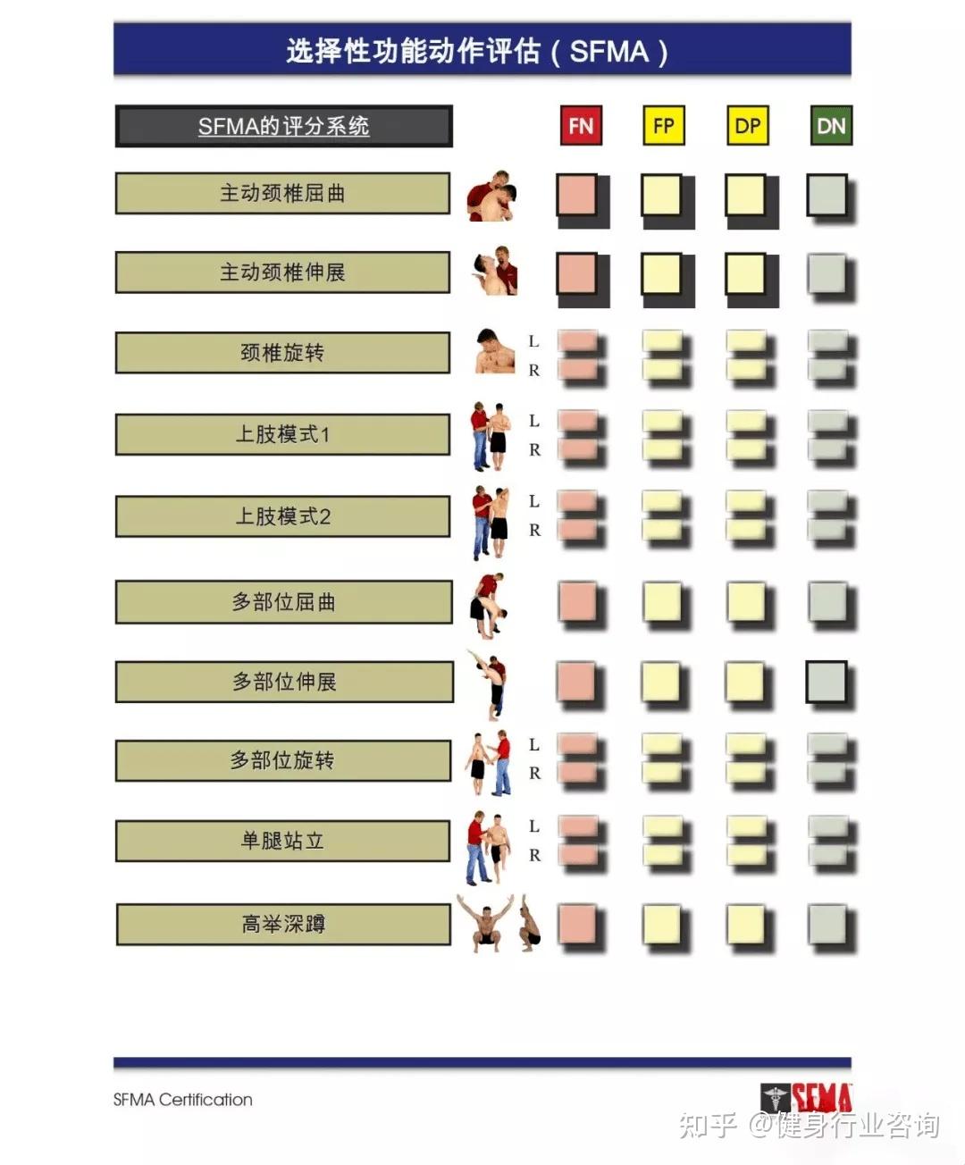 康复治疗师如何运用选择性功能动作评估SFMA（流程图）-康复治疗师和体能训练师必备技能 - 知乎