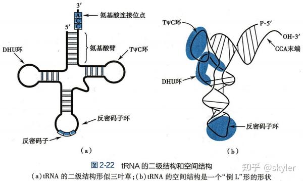 生物化学笔记（临床医学） - 知乎