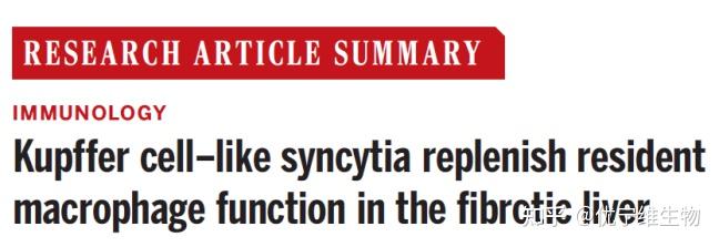 [IF: 56.9] Science揭示巨噬细胞Kupffer的新帮手，原来竟是他？！ - 知乎