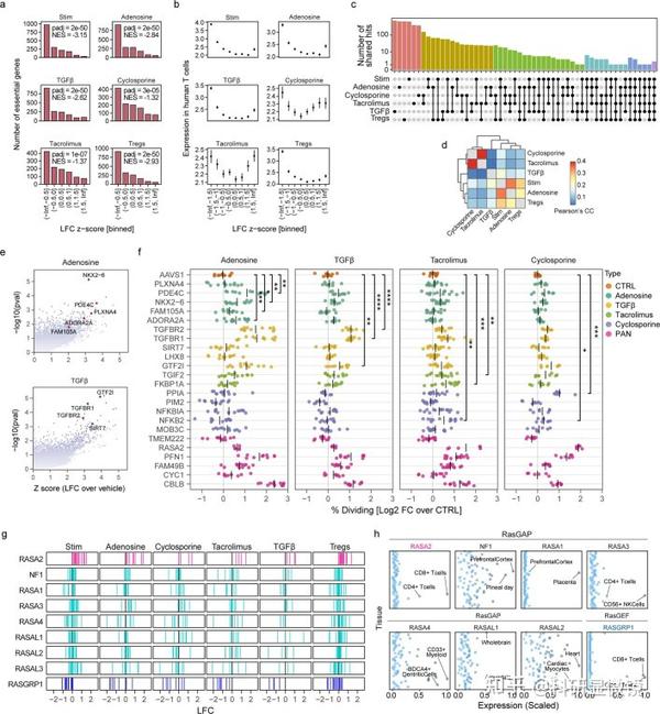 nature前沿为2023年国自然提供研究思路：CAR - T细胞治疗新靶点RASA2带来了可持久击杀肿瘤的T细胞 - 知乎