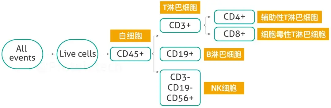 人TBNK检测，从方案设计到结果分析 | 流式专栏（五） - 知乎