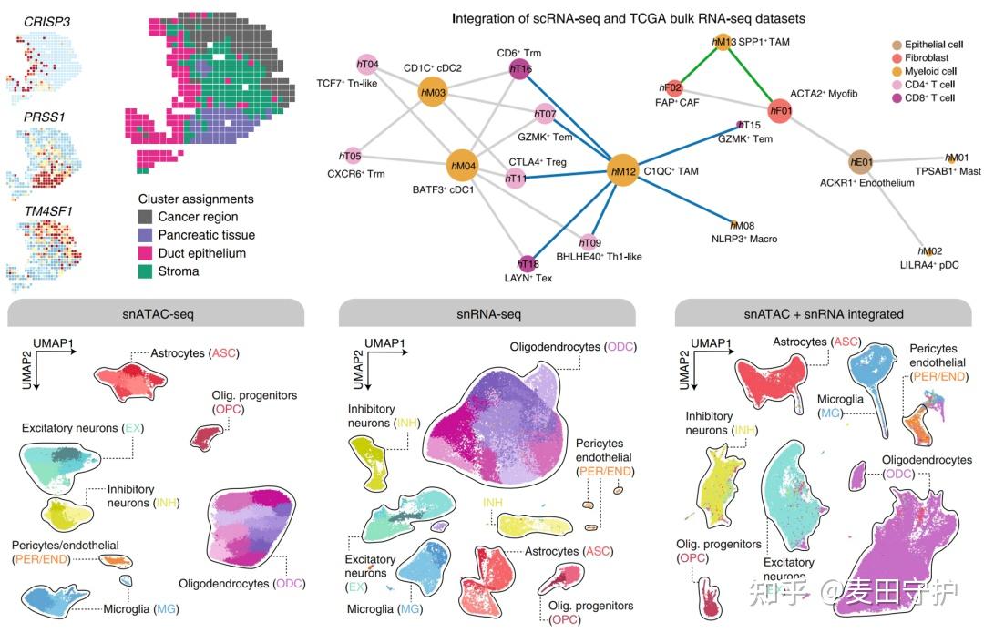 系统的跟着18篇CNS文章学单细胞多组学分析（含空间转录组、chipseq、RNAseq、Atacseq和外显子） - 知乎