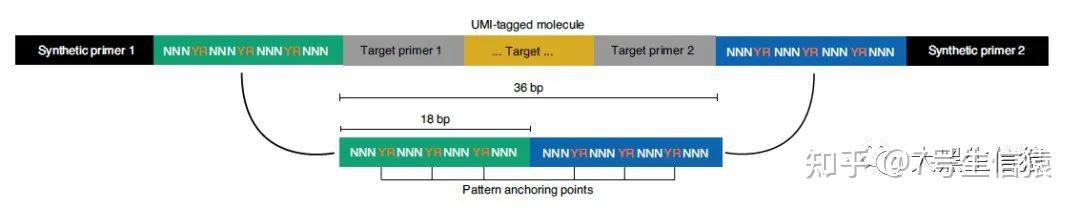 一文读懂单分子标签UMI - 知乎