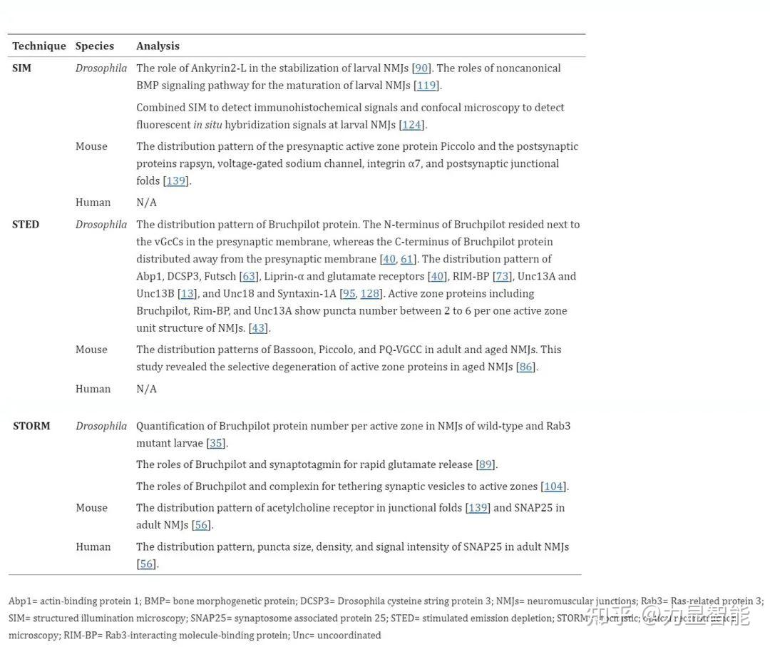 【文献解读】用于分析神经肌肉接头和突触的超分辨率显微镜 - 知乎