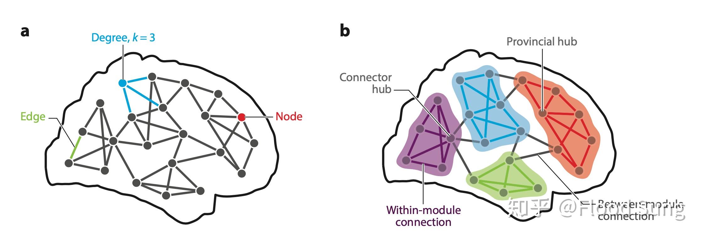 OpenRes 4: Modularity的神经科学相关研究 - 知乎