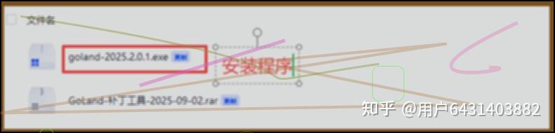 GoLand】Go 语言专用 IDE！功能详解 + 安装教程（含补丁避坑指南） - 知乎
