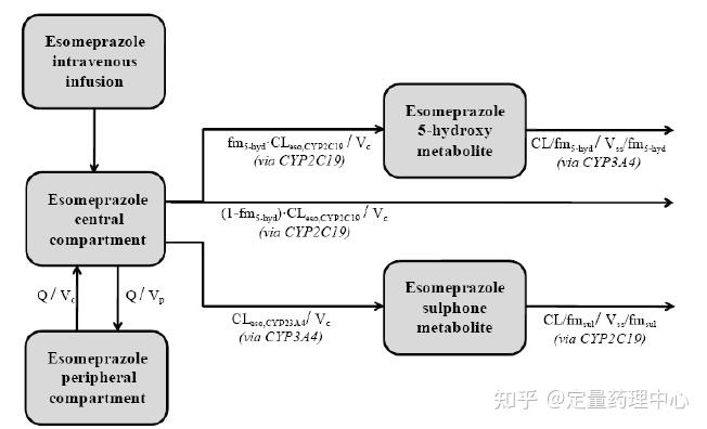 PPK PopPK模型，FDA经典案例分析6：“注射用埃索美拉唑”应用定量药理学减免儿童临床试验的案例分析 - 知乎