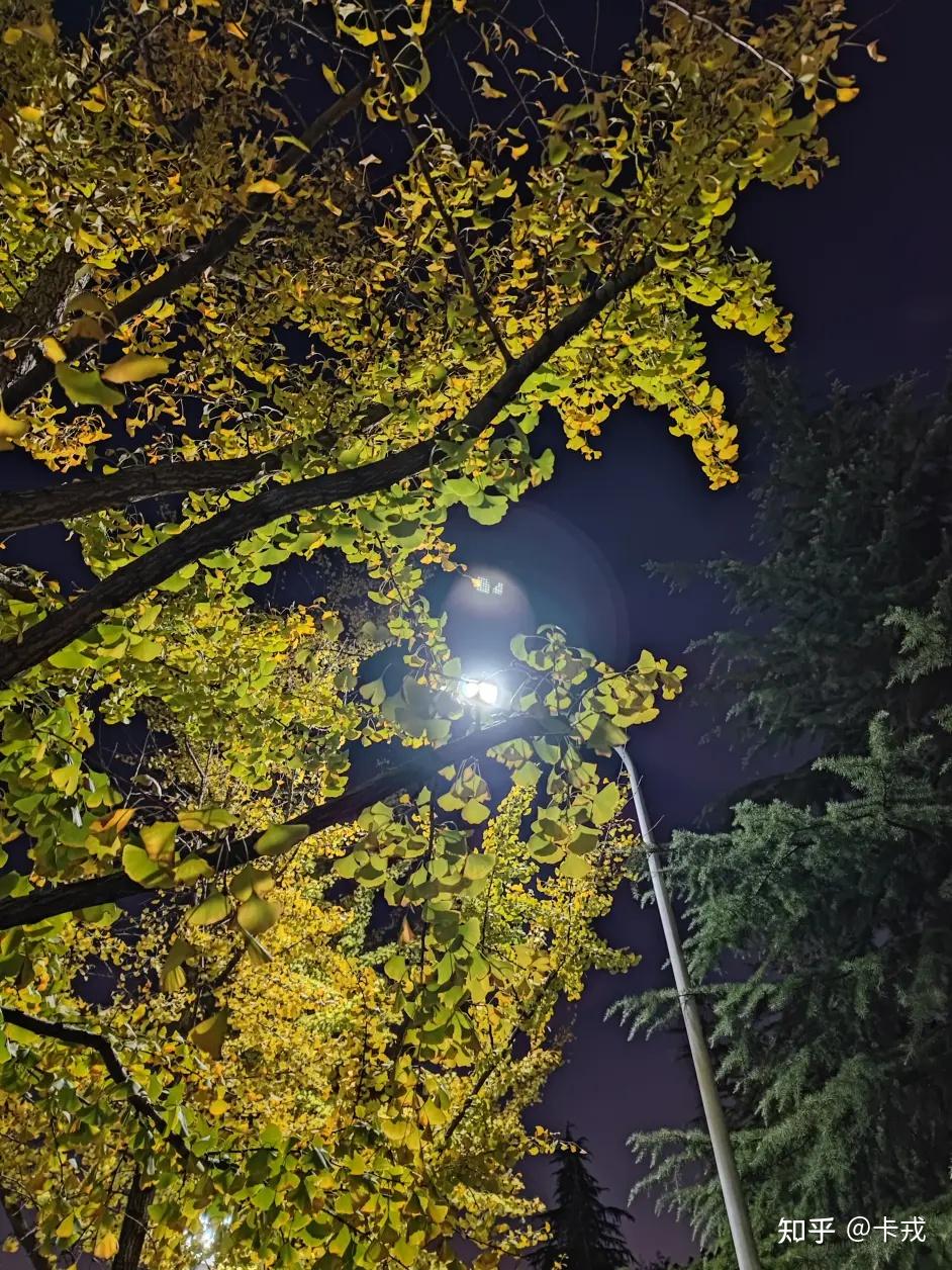 华为 mate50 超详细影像体验 - 知乎