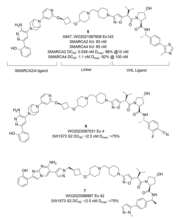 合成致死靶点SMARCA2: PROTAC蛋白降解剂 (专利综述) - 知乎