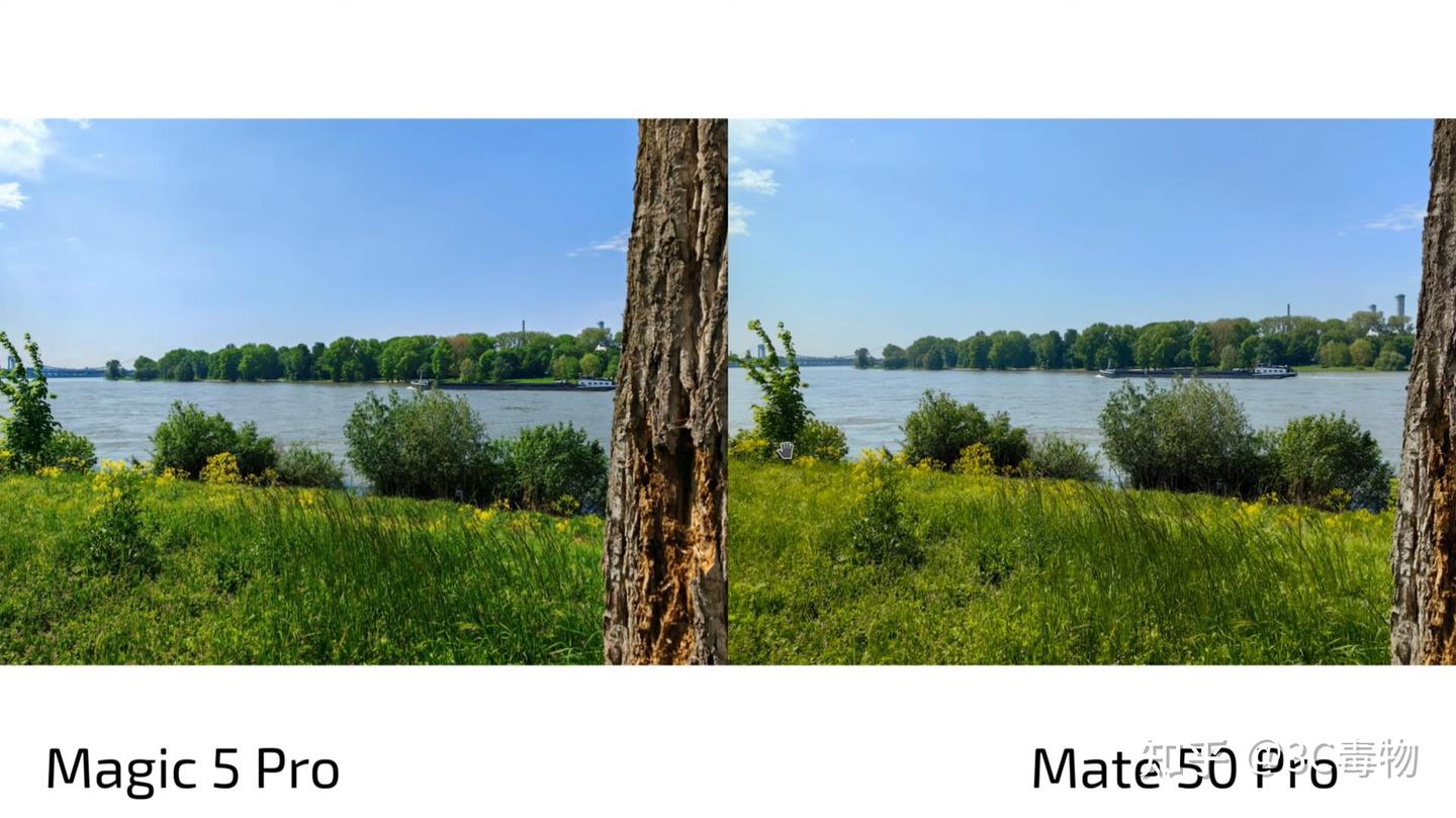 华为Mate50Pro和荣耀Magic5Pro实拍对比：都是5000万主摄差距贼大 - 知乎