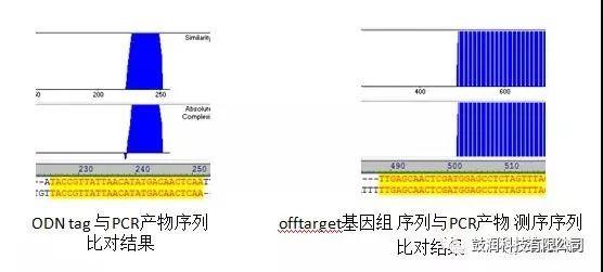 GUIDE-Seq——准确、高效的真核细胞内CRISPR基因编辑的在靶与脱靶效率评估方法 - 知乎
