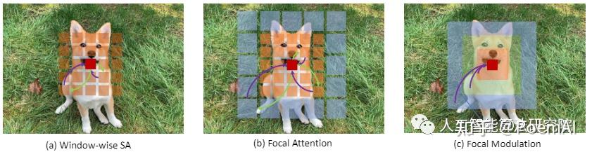 计算机视觉之FocalNet网络 - 知乎