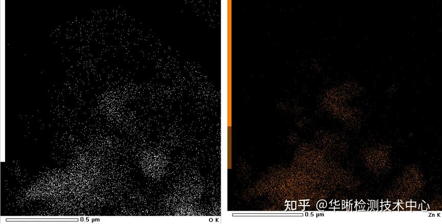 扫描电镜SEM透射电镜TEM冷冻SEM/TEM电镜生物SEM/TEM电镜全国高校接样测试-TEM（可云视频） - 知乎
