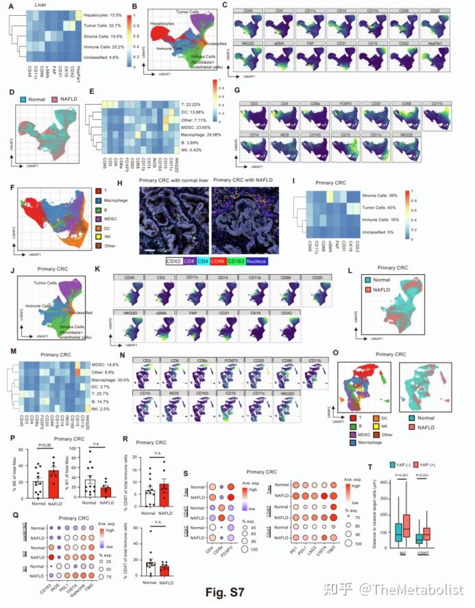 代谢学人--Cell Metabolism：脂肪肝“筑巢引癌” - 知乎