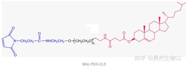 MAL-PEG-CLS，PEG2000,maleimide-PEG-CLS，胆固醇-聚乙二醇-马来酰亚胺 - 知乎