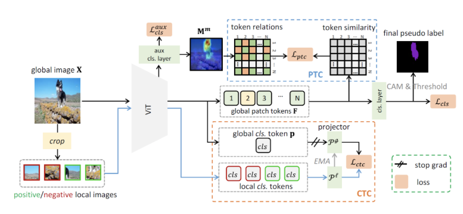 CVPR 2023｜打破CAM的局限性！ToCo：进一步激发 ViT 在弱监督语义分割的潜力 - 知乎