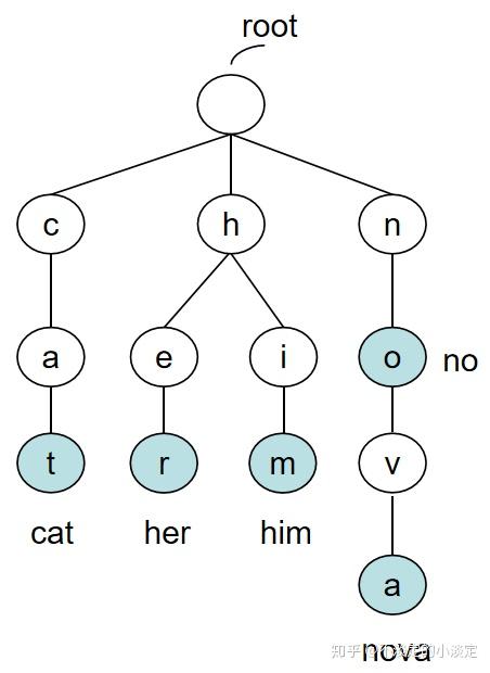 什么是 Trie 树 - 知乎