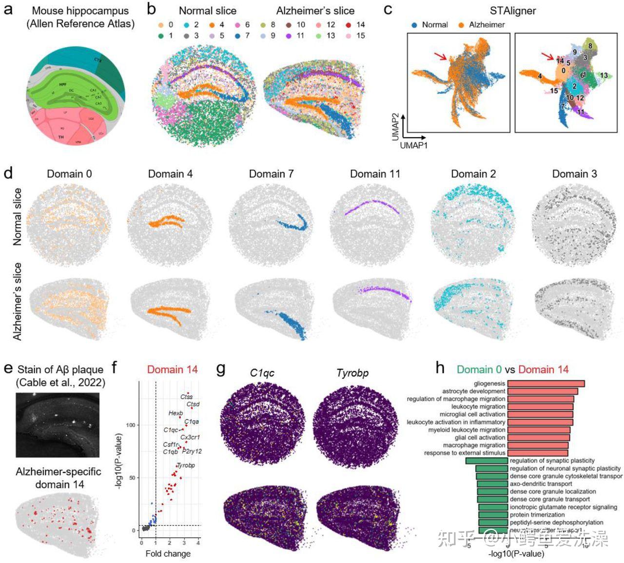 STAligner论文阅读整理 - 知乎