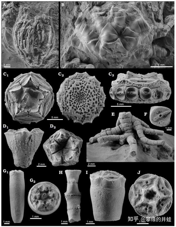 【地球演义】第二百七十四回 异界来客7：Alura Une - 知乎