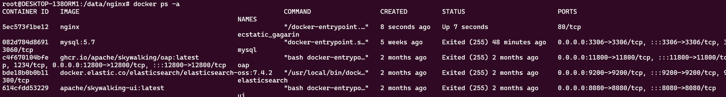 Docker部署Nginx - 知乎
