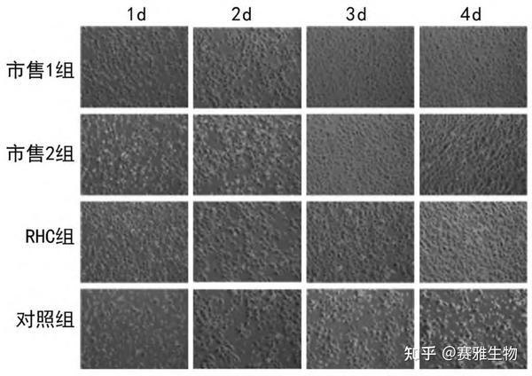 重组胶原蛋白（RHC）：表皮修护新选择，你了解它的作用机理吗？ - 知乎