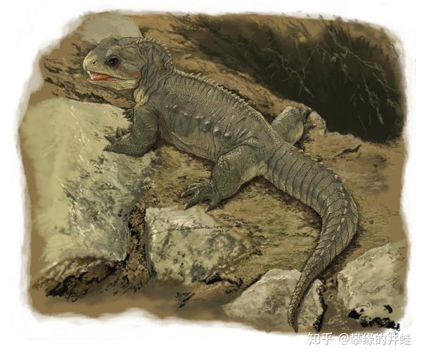 我的种族战斗力很弱一直被欺压偶尔发达几次也很快被打回原形但是适应力超强耗死了很多对手未来有可能翻身吗 - 知乎