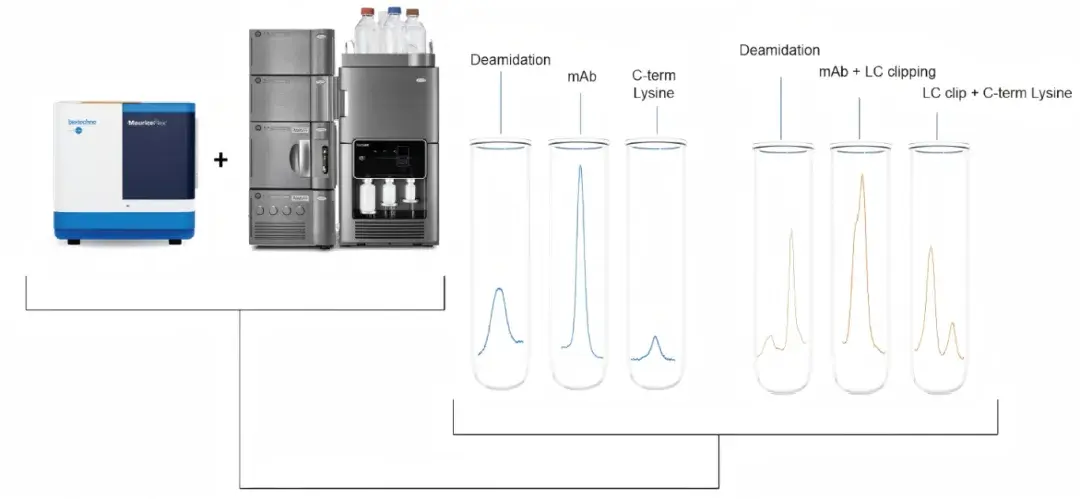 MauriceFlex+BioAccord LC-MS联用方案，一键解锁原研药与生物类似药深度对比 - 知乎