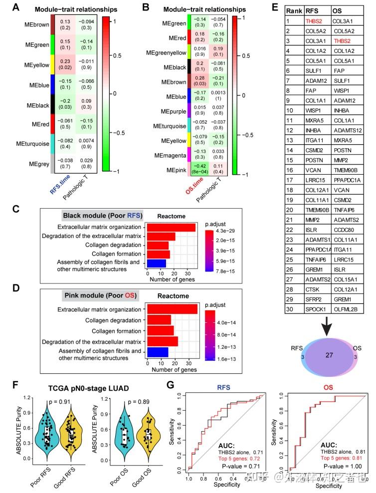 项目文章：组织外泌体助力解析TME明星分子THBS2促进早期肺腺癌侵袭转移机制 - 知乎