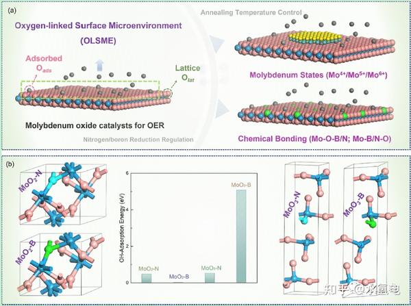 ACS Catalysis：B/N诱导表面调节高效OER - 知乎