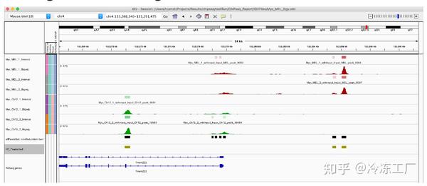 ChIP-seq 分析：教程简介（1） - 知乎