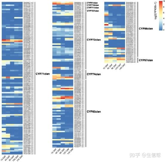 基因家族｜细胞色素P450超家族的全基因组鉴定及其在黄酮生物合成中的功能 - 知乎