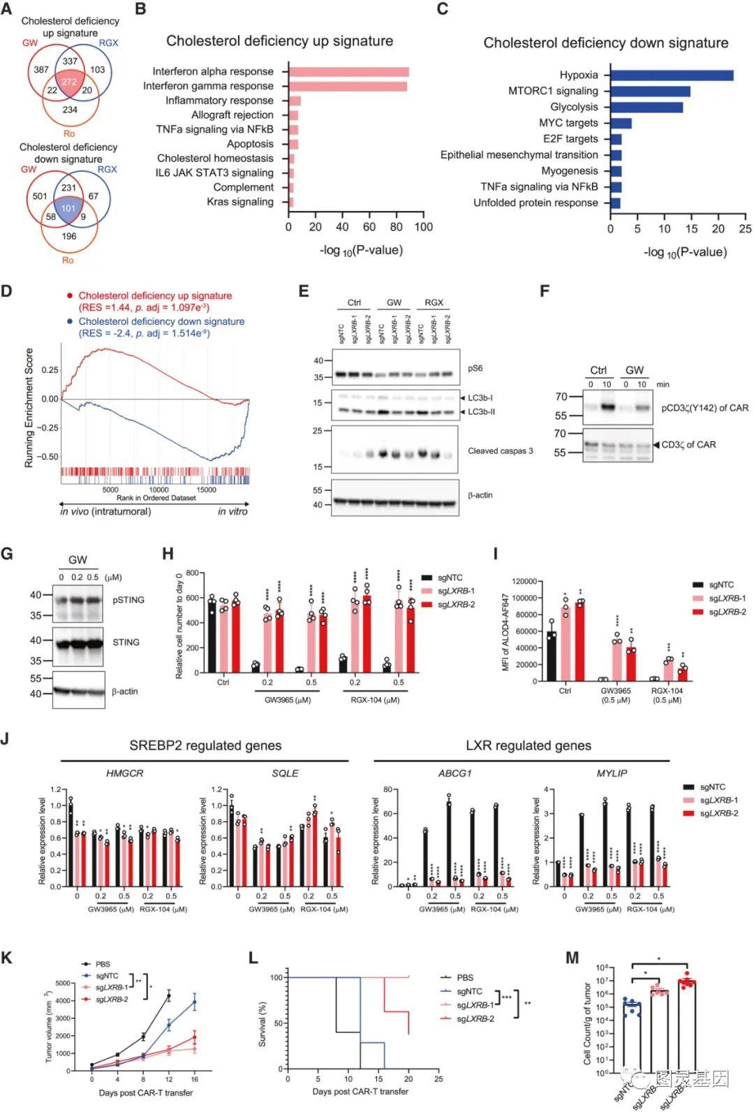Cancer Cell | 宋保亮院士：胆固醇缺乏抑制免疫细胞抗肿瘤作用 - 知乎