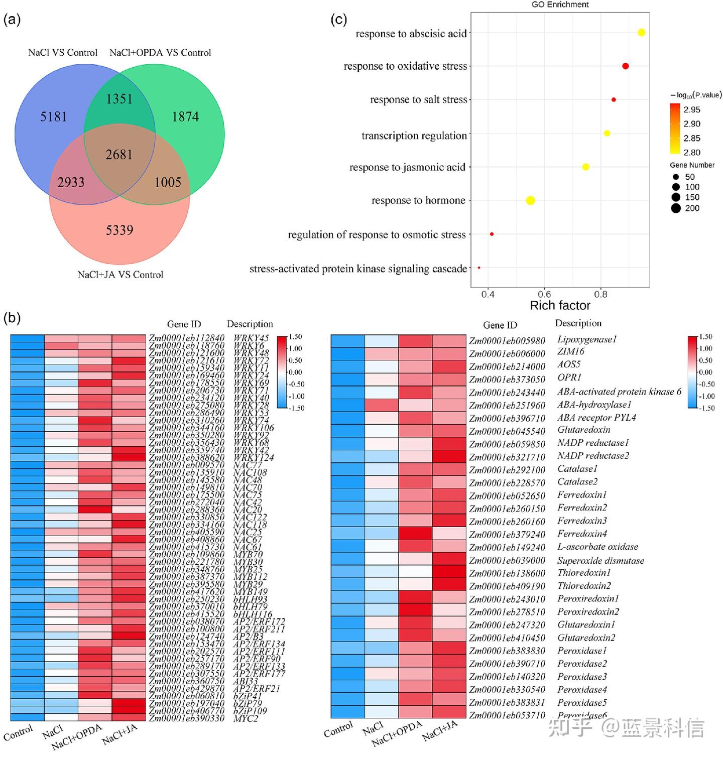 DAP-seq技术在ZmEREB57调控OPDA合成提高玉米耐盐性研究中的应用 - 知乎