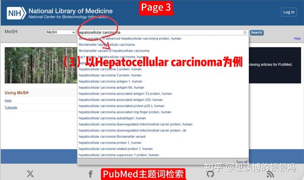 医学英文三大数据库主题词&自由词检索 - 知乎
