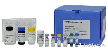 双抗夹心法定量检测：HIV-1 p24 ELISA试剂盒解决方案 - 知乎