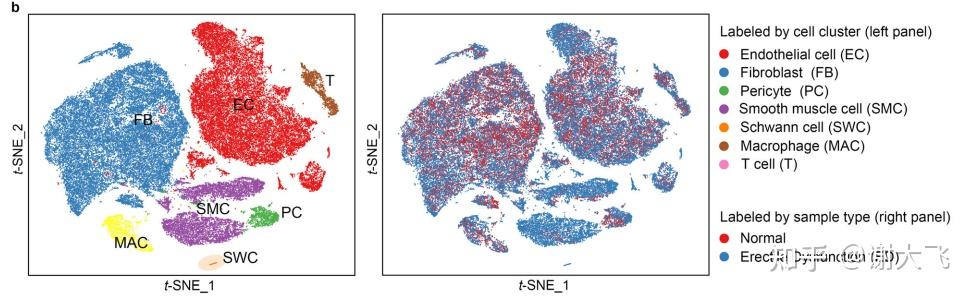 自行构建SingleR数据库 - 知乎