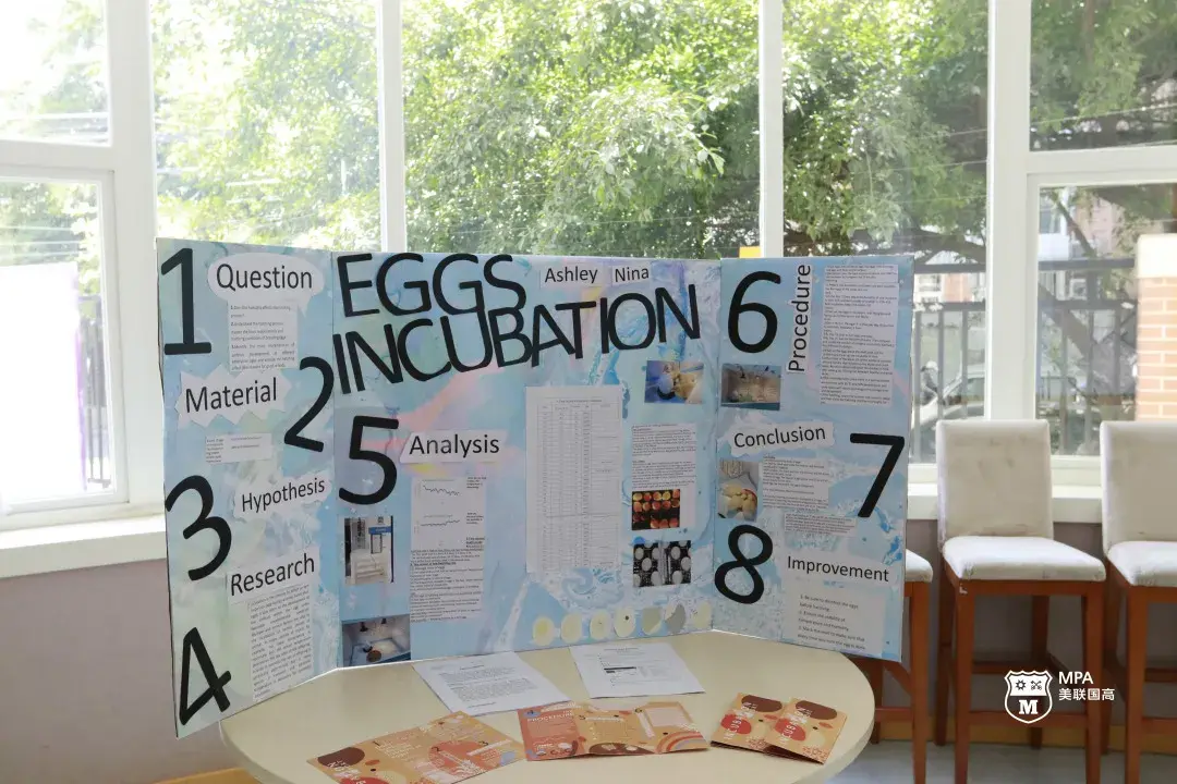 活动回顾 | Science Fair 科学展：一次灵感点与艺术能量的爆破 - 知乎