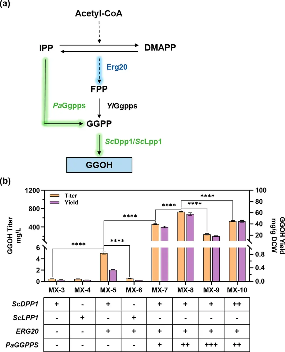 欣贝莱生物 | J. Agr. Food Chem.：工程化解脂耶氏酵母高效合成香叶基香叶醇 - 知乎