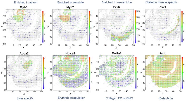 Cell | 高分辨空间组学技术 - 知乎