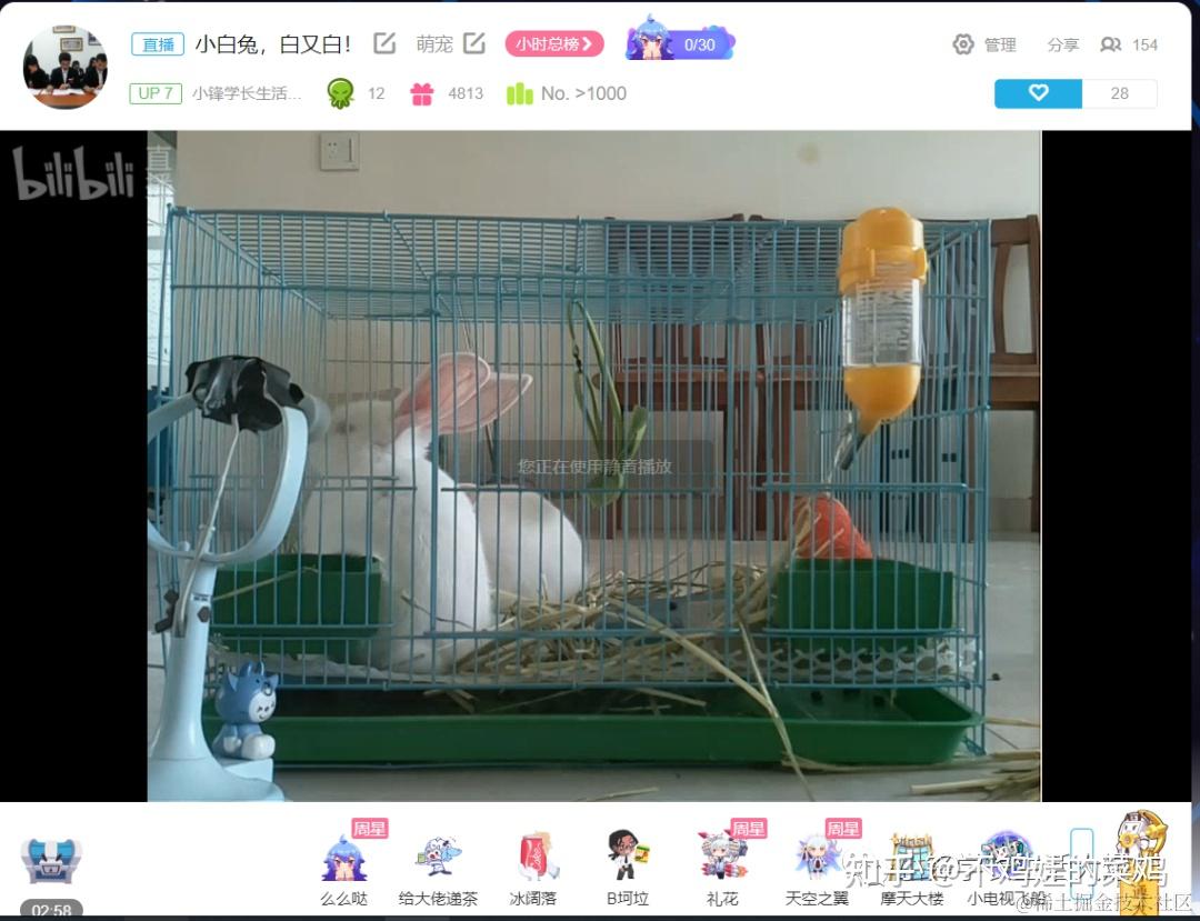 如何使用opencv Rtmp直播推流 知乎