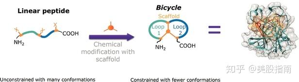 医药公司 Bicycle Therapeutics Limited 于 05月23号美股上市 - 知乎