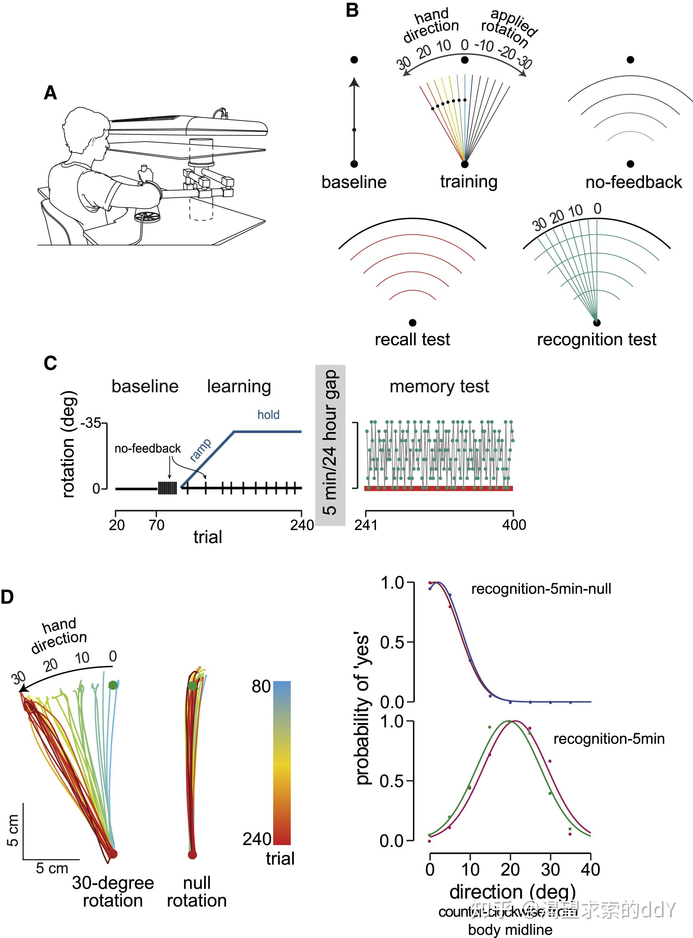 21天文献共读挑战，Day 13：人类运动学习的识别记忆 - 知乎