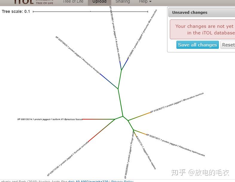 MEGA在分子进化树方面的应用 - 知乎