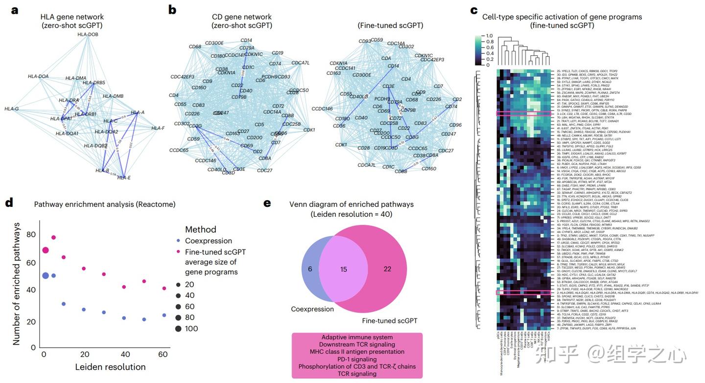 单细胞组学大模型（3）--- scGPT，有非常详细的学习文档和应用说明，且有多种训练数据权重！ - 知乎