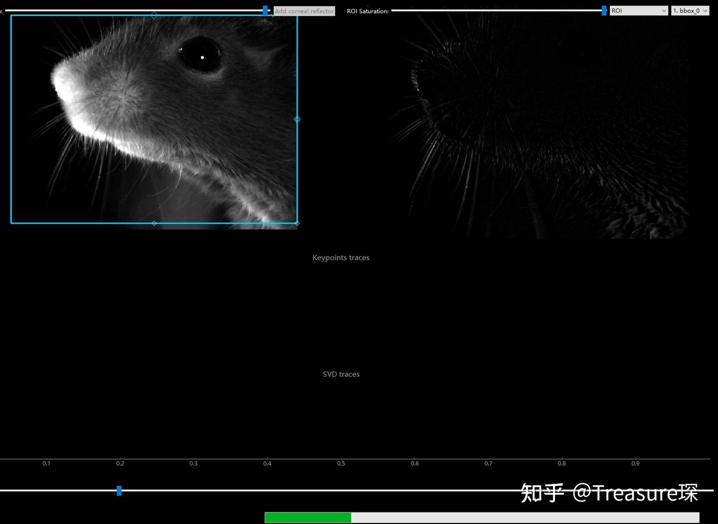 Facemap —— 小鼠面部追踪 - 知乎